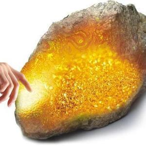 点石陈金成长B计划 