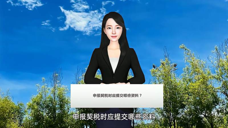 申报契税时应提交哪些资料?