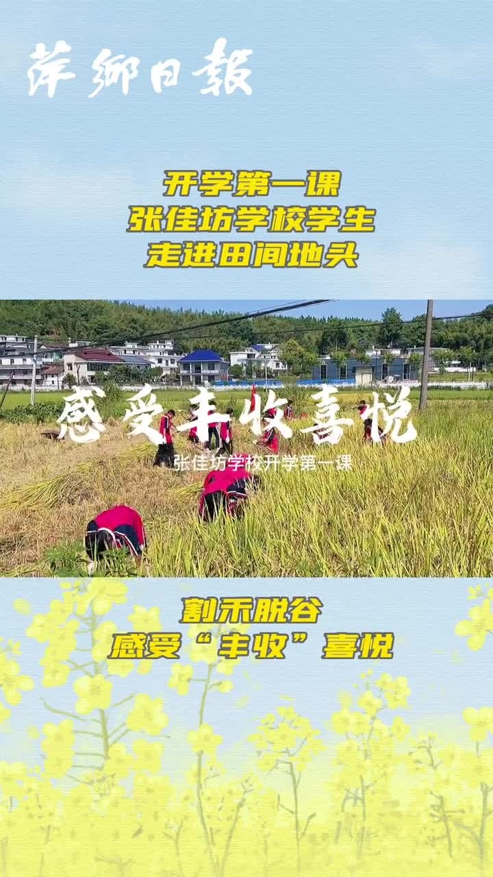 ...人,开学第一课!张佳坊学校学生走进田间地头,割禾脱谷,感受"丰收"喜悦