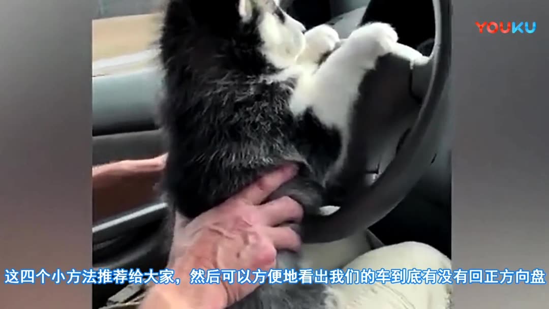 停车总记不住方向盘圈数, 如何判断方向盘是否回正? 老司机教你