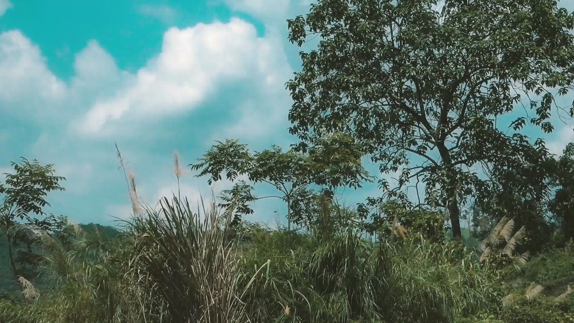 AVCHD格式转camera raw滤镜调色