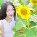 娱乐科长 