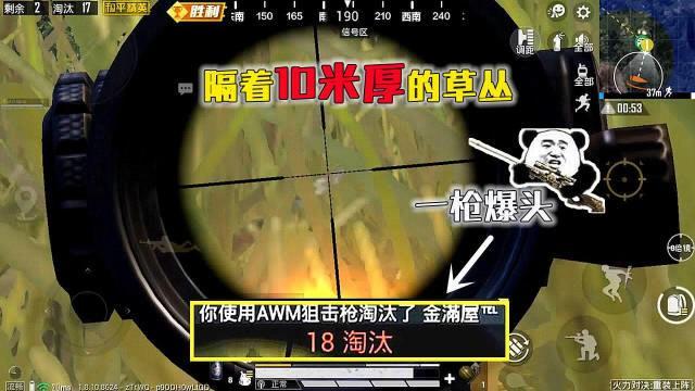 这把AWM神了!隔着10米厚的草丛,一枪精准爆头!