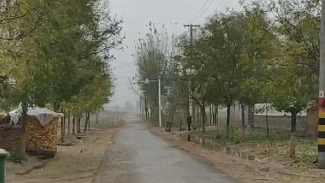 推迟!23岁女子被虐致死案开庭重审推迟至27日