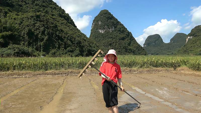 实拍广西稻谷播种育秧,这传统的播种方法最实用,无需天时地利