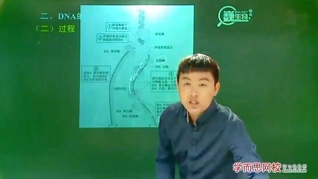 DNA半不连续复制