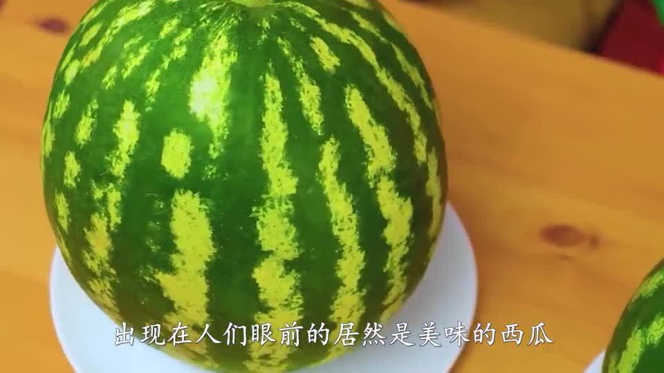 熊孩子挑战几何美食,三角形正方形圆形,哪个更美味
