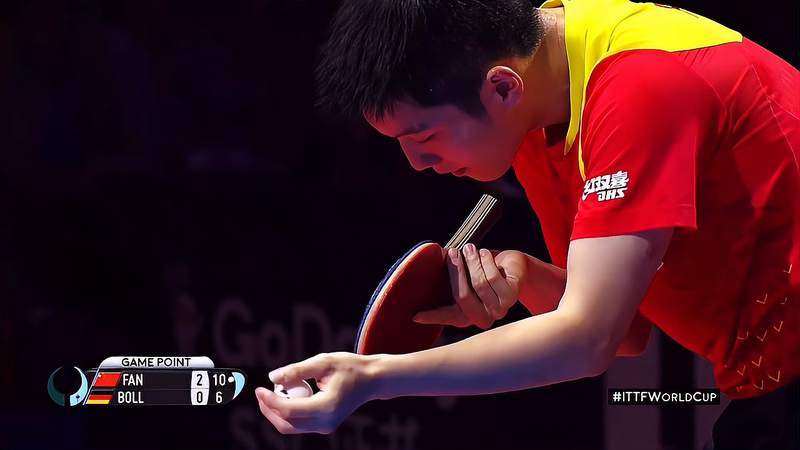 樊振东的外战精彩瞬间下集