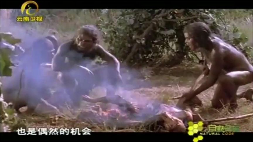 原始人类是如何发现火的?原因众说纷纭,到底真相是什么