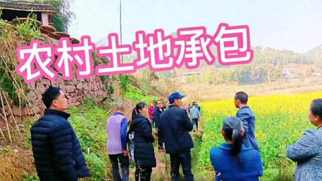 #农村土地流转,百姓满脸欢喜,我们这山卡卡里也可以流转土地
