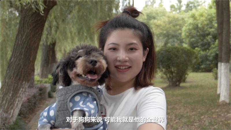 浙江90后美女专为宠物订制蛋糕,月接30单!