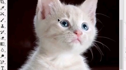 【PS自习室】-№108-怎样快速抠取毛发?