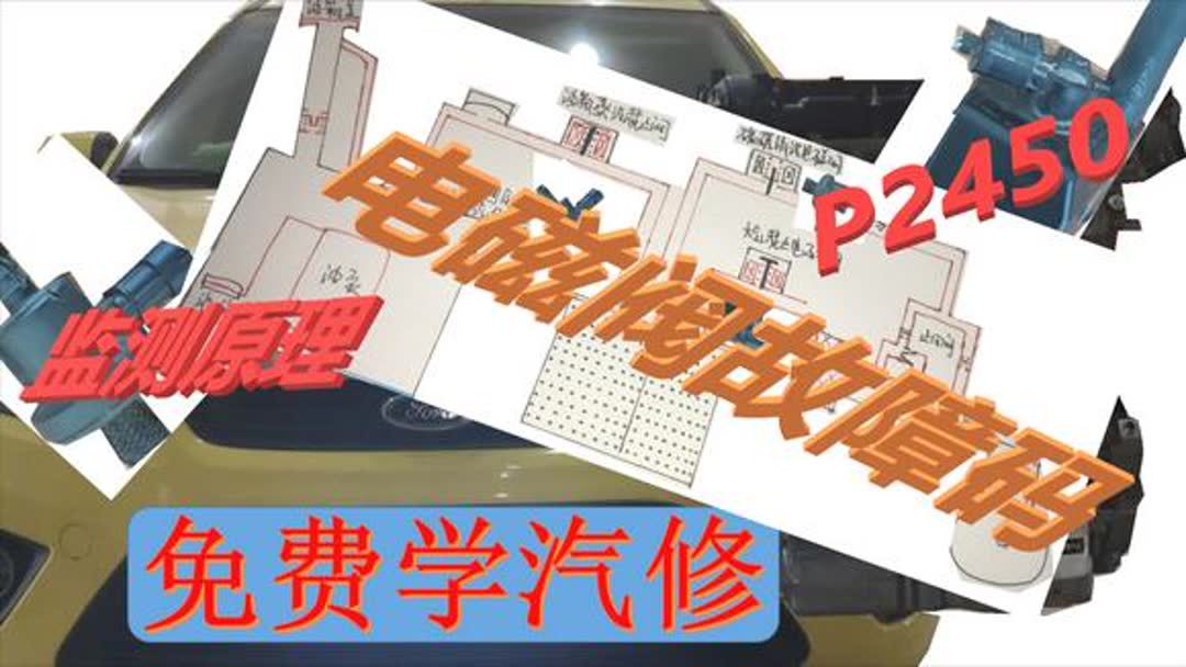 汽车维修,EVAP P2450P0446等故障码,修理工该怎么维修?