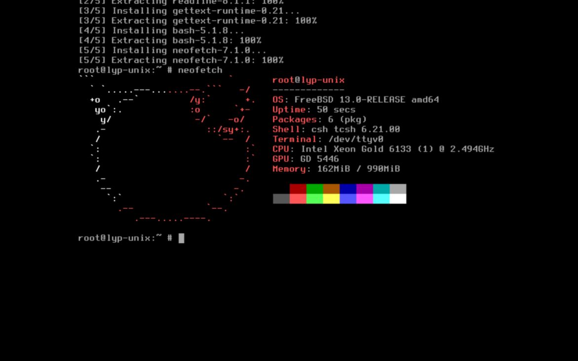 轻量应用服务器安装freebsd