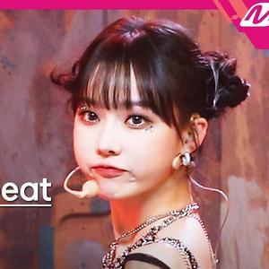 荔枝蜜桃四季春 