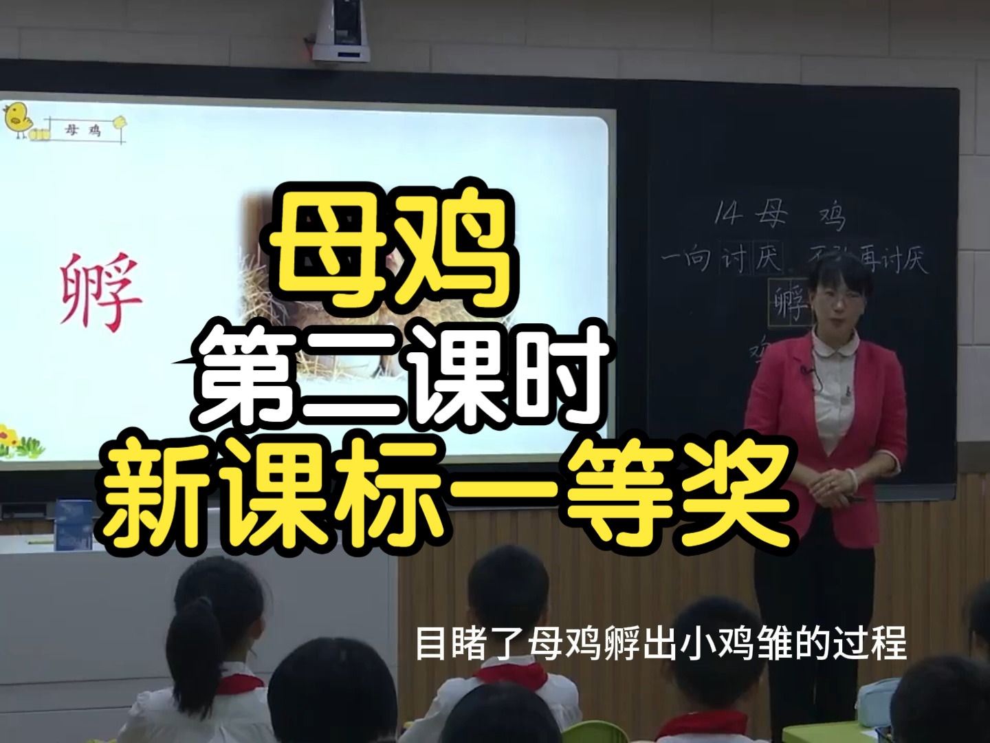《母鸡》第二课时公开课优质课【新课标大赛】