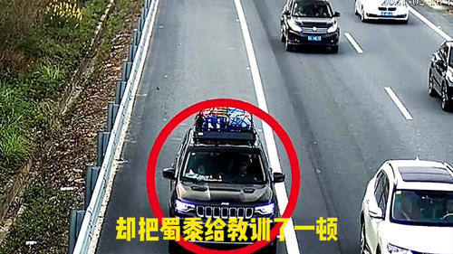 走应急车道还有理,大姐,你这驾照咋拿的