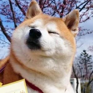 熊小白爱娱乐 