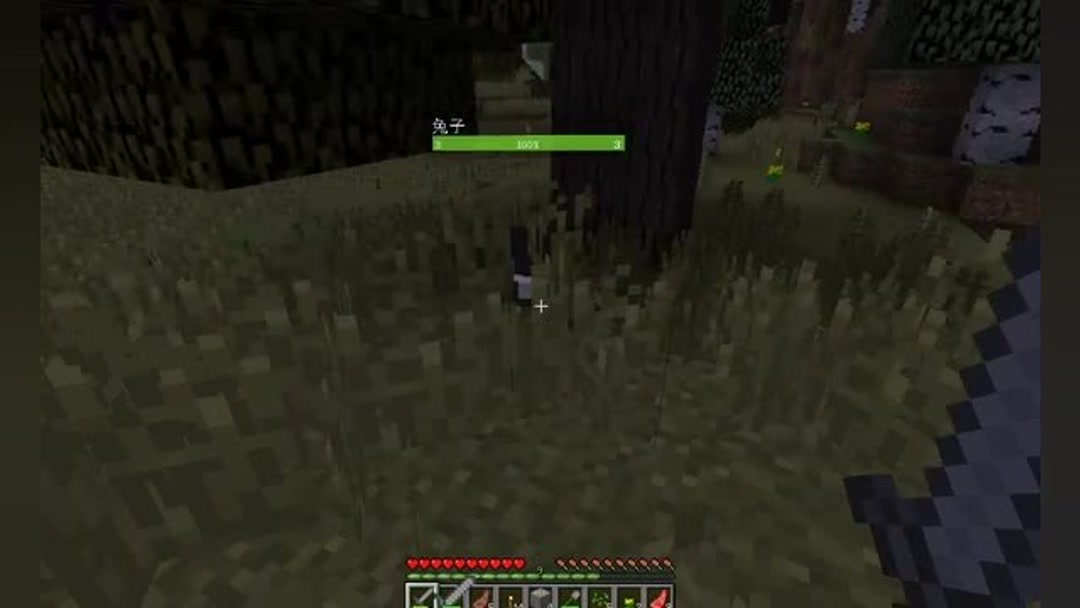 我的世界暮色森林MOD生存02 初入暮色森林 熟悉周边环境