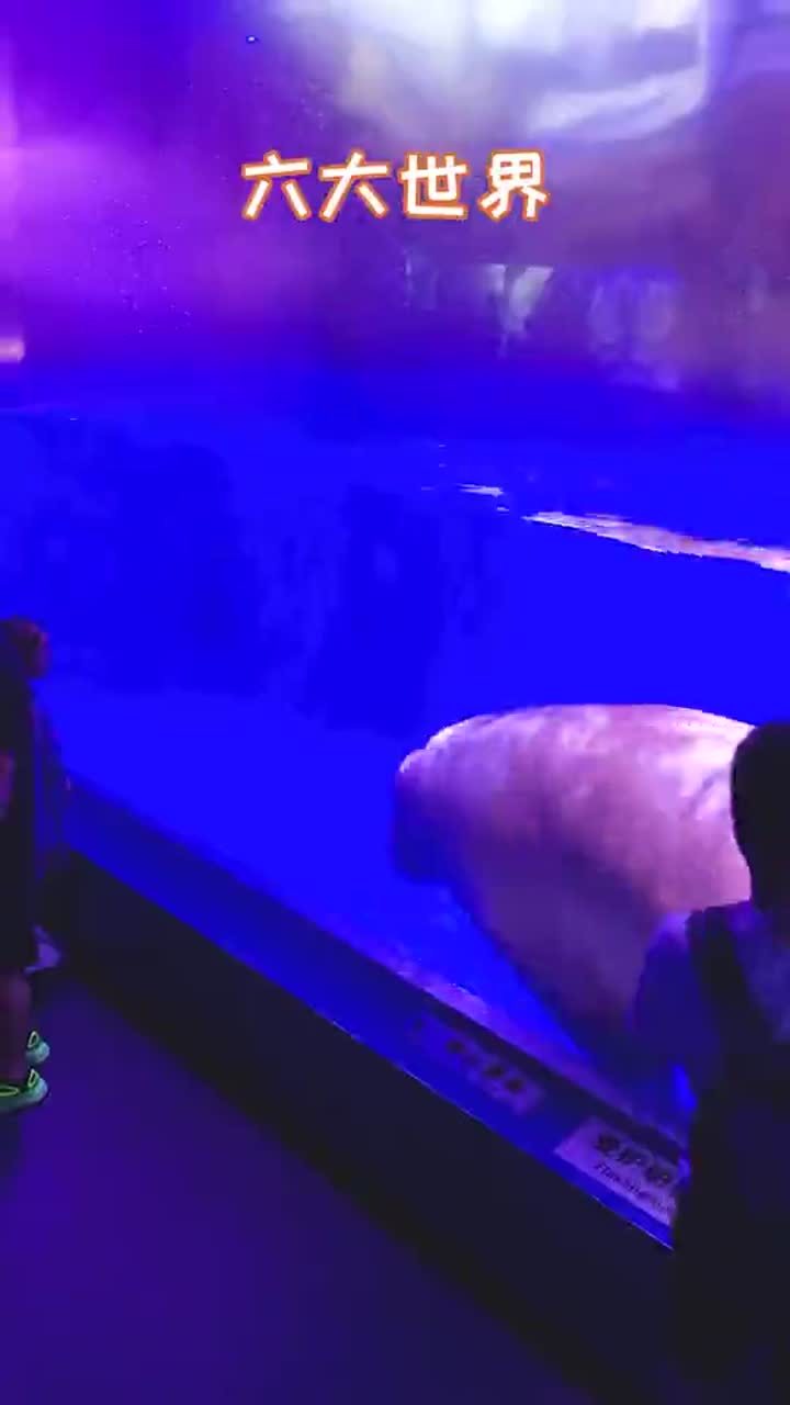 ...世界游玩攻略美食创作人浪计划心动餐厅感谢大家对我的关注和支持77