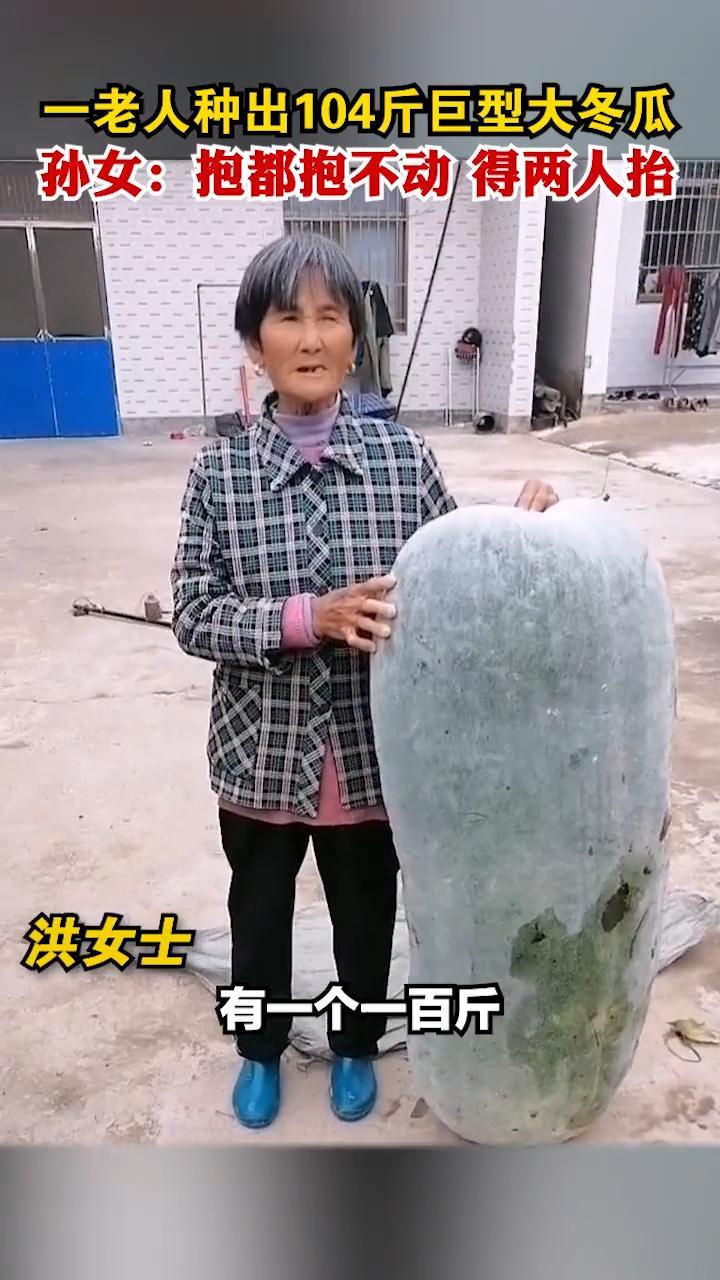 一老人种出104斤巨型大冬瓜,孙女:抱都抱不动,得两人抬