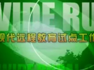 杨树种植技术