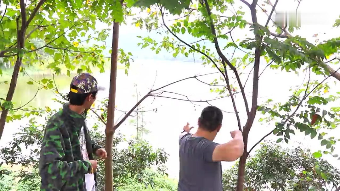 牛逼的无架弹弓摘果子精准度惊呆了在场所有人