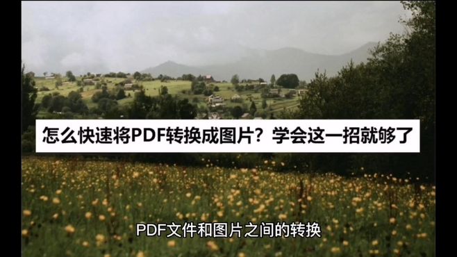 怎么快速将PDF转换成图片?学会这一招就够了