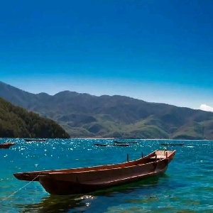 自愈自乐学习部落 