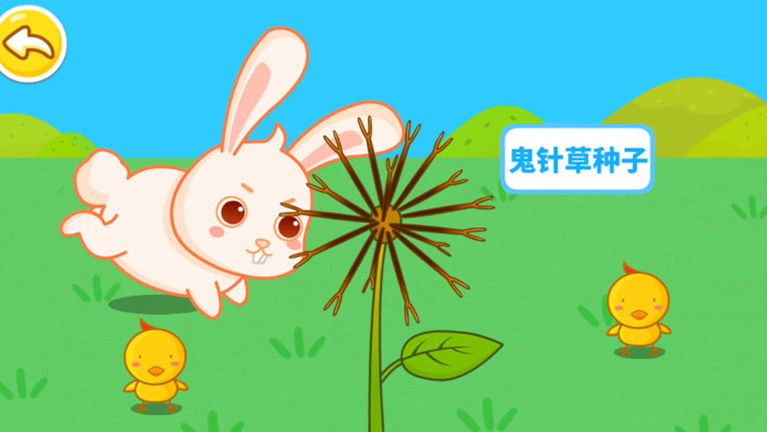 奇妙的种子,鬼针草种子是需要动物传播的