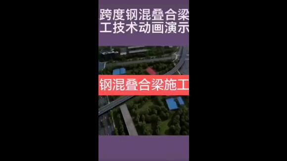 优佳每日一动画:大跨度钢混叠合梁施工技术动画