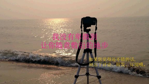 我没有卑微到,让你随意敷衍的地步