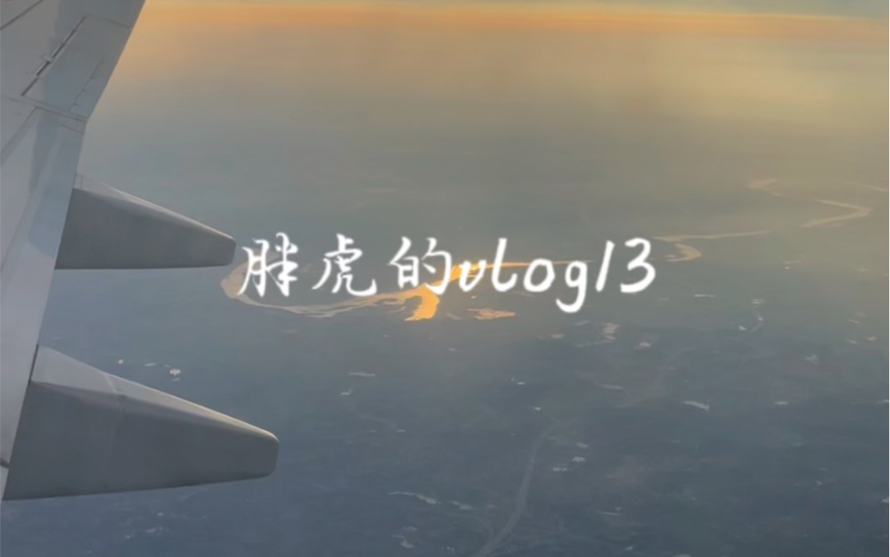赴三年之约:走港珠澳大桥感受大国工程,顺便在顺德广州蹭吃蹭喝