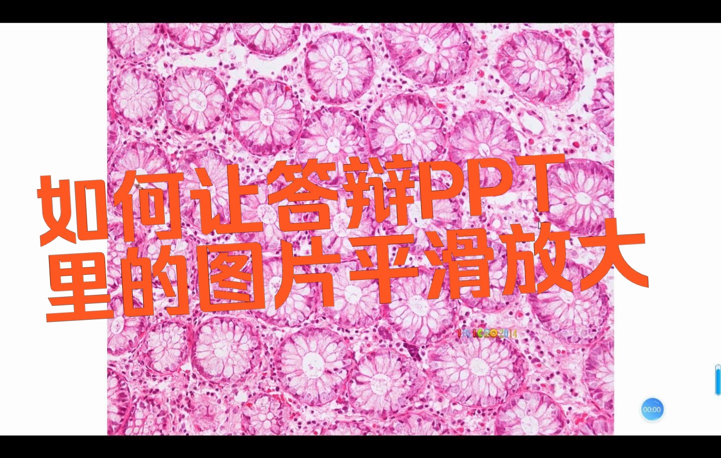 【PPT】如何让答辩PPT里的图片平滑放大