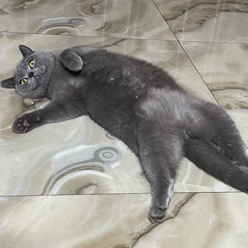 见路不走的铁柱 