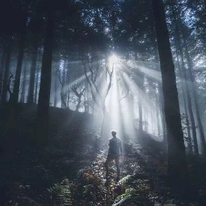 是鸽子不是表米 