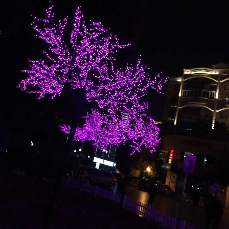 中山明逸汽车精品改装 