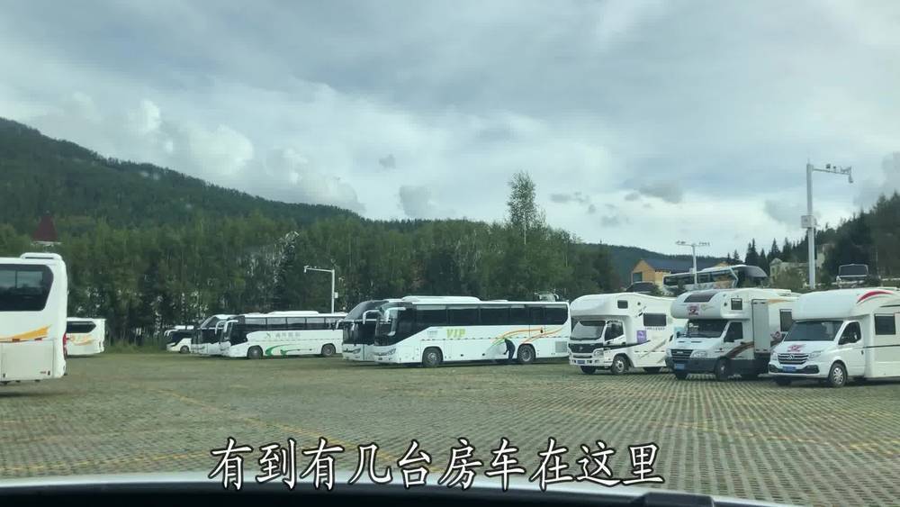 小伙自驾新疆游,到达绝美的喀纳斯,把车停在了白桦林营地