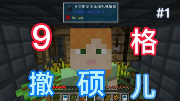我的世界:【吃饭时别看】9格撤硕密室生存第一期,全程超“然”