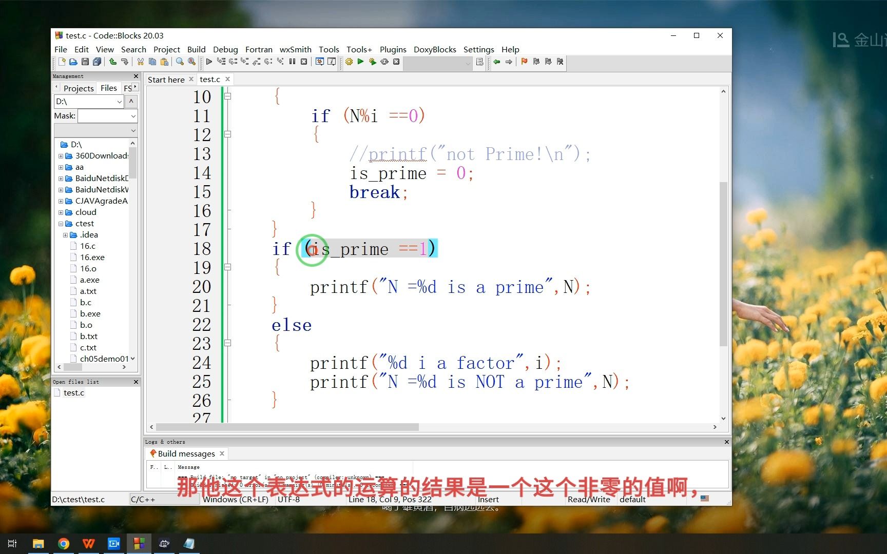 【C语言】第5讲(20) 键盘上输入一个整数N,问N是否是素数?
