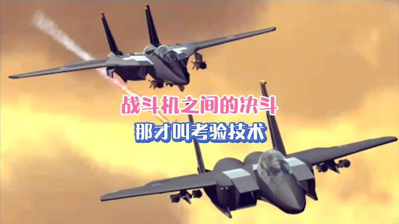 飞机模拟器:战斗机之间的战斗,那才叫考验技术!