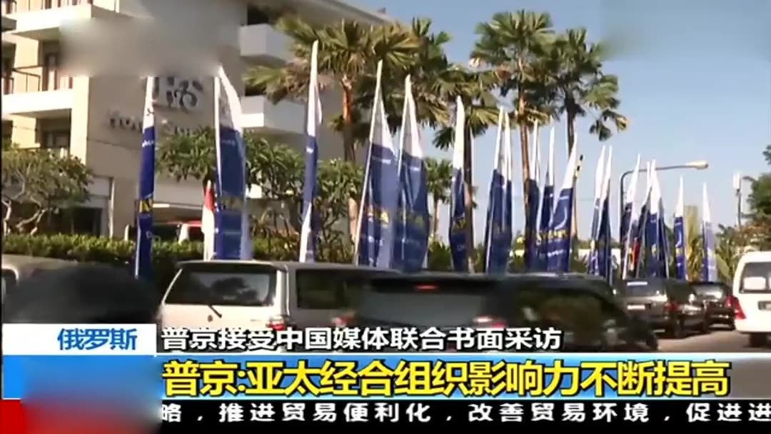 普京:亚太经合组织影响力不断提高