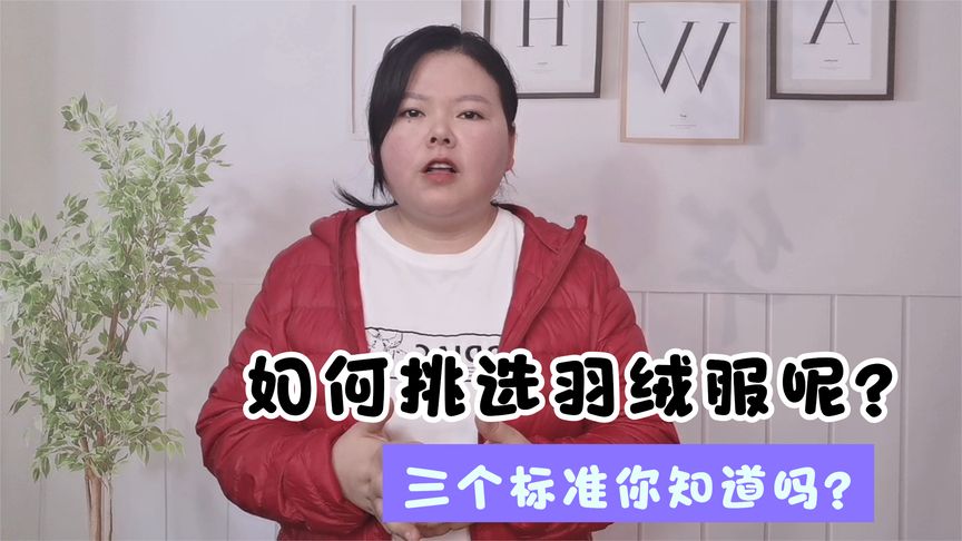 优选2:冬季如何挑选羽绒服?了解三大标准,避免购物踩坑!