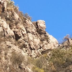 伏牛山传奇 