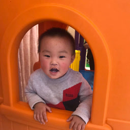 邝邝邝邝2017 