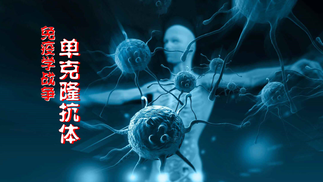 3分钟快速了解单克隆抗体是如何帮助人体抵抗癌症的