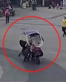 【女童脚趾不慎被电动车车轮绞断 好心市民接力将断趾交给其家人】...