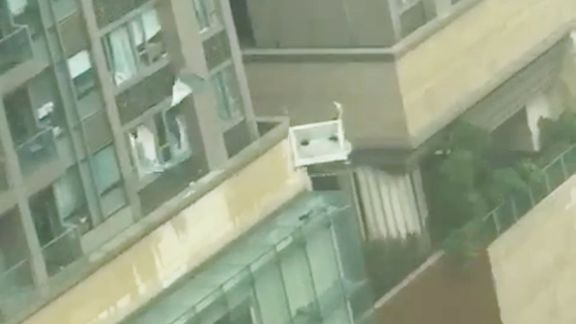 今天,台风来袭,你们看到那个小东西了吗?快看看自家的