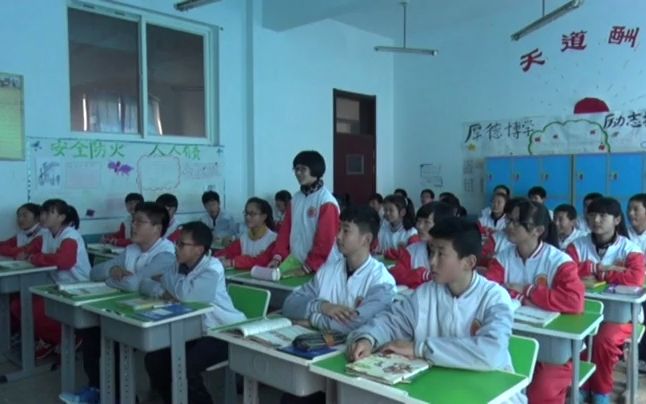外研版初中英语八年级上册:《Unit2 Stay away from windows》(含课件...