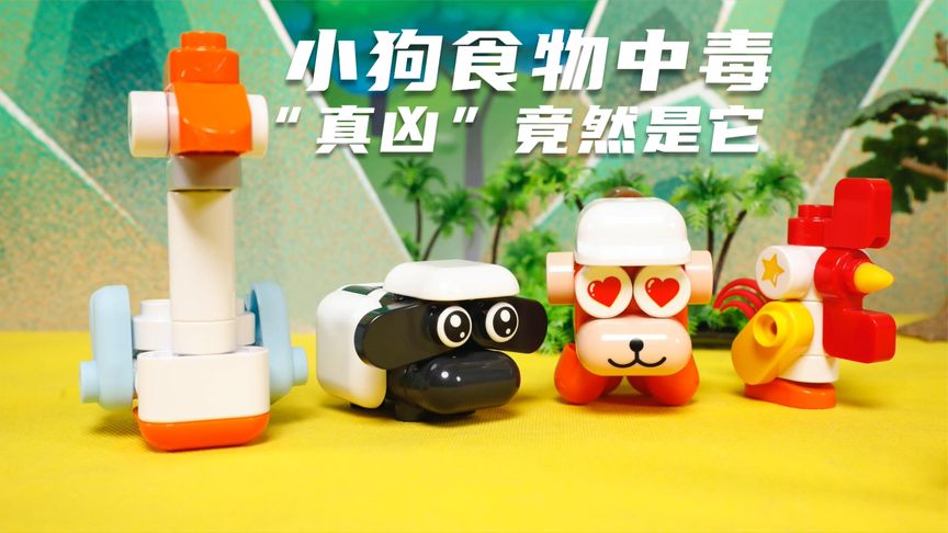 小狗食物中毒的真凶找到了,猜猜它是谁?